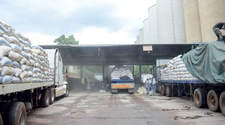 Maize price delays put billions at risk - Malawi24