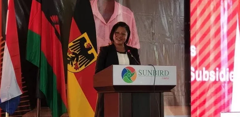 Pilot programme aims for 70% energy access in Malawi by 2030